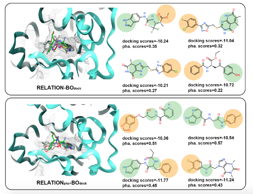 RELATION：基于结构的从头药物设计的深度生成模型-CSDN博客