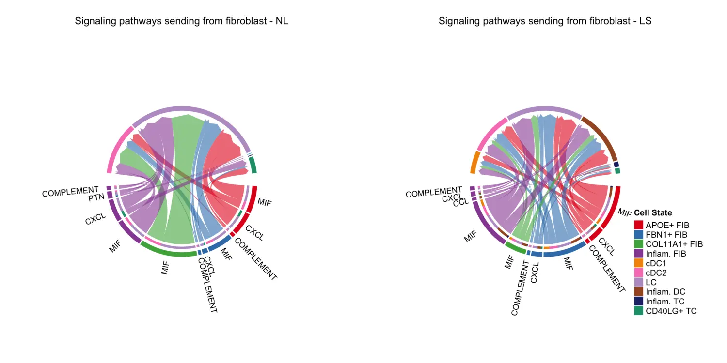 10X单细胞（10X空间转录组）通讯分析CellChat之多样本通讯差异分析_cellchat computenetsimilaritypairwise-CSDN博客