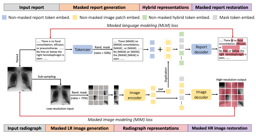 ICLR 2023 | 厦大&港大提出MRM：利用视觉+语言数据增强视觉特征-CSDN博客