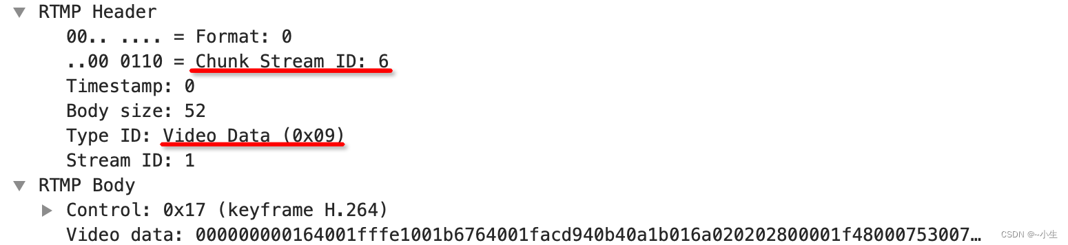RTMP协议_gryphon协议 tcp 7000-CSDN博客