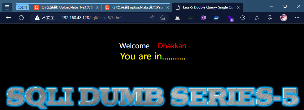 SQL注入教程：从sqli-labs的level01到level08-CSDN博客
