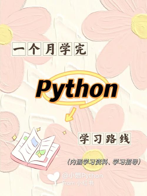 小学生学python大约多少钱python几岁学比较好 Csdn博客 8041