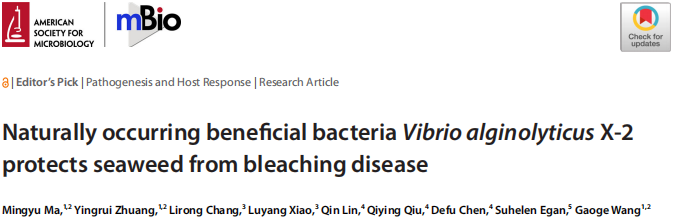 mBio | 中国海洋大学王高歌团队揭示有益菌溶藻弧菌降低海藻白化病发生的机制...-CSDN博客
