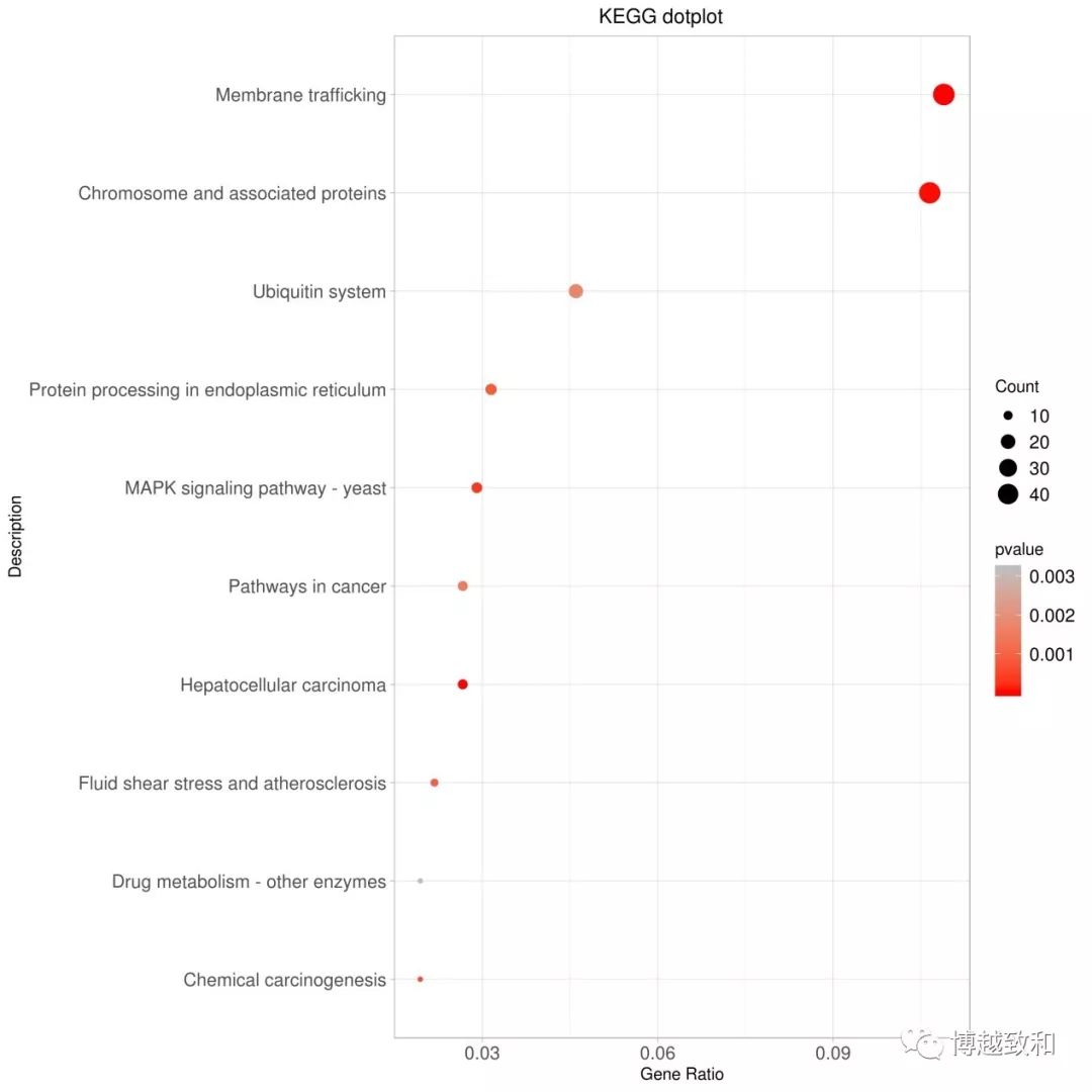 go kegg_GO和KEGG的绘图详解_和猫住的博客-CSDN博客