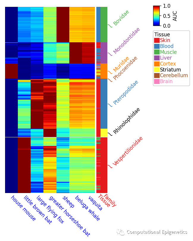 PyComplexHeatmap进阶教程：用python画热图的【行】/【列】注释信息-CSDN博客