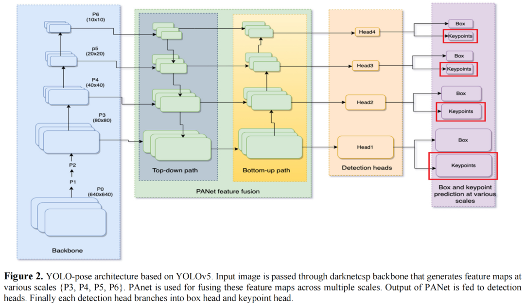YOLOv5永不缺席 | YOLO-Pose带来实时性高且易部署的姿态估计模型！！！-CSDN博客