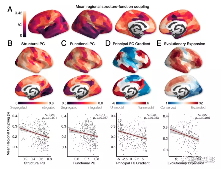 PNAS：青年时期人脑网络结构-功能耦合的发展_大脑coupling-CSDN博客