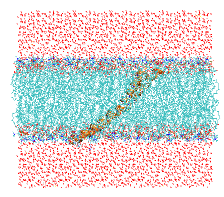 GROMACS复杂体系构建之利用CHARMM-GUI工具_charmm-gui如何安装-CSDN博客