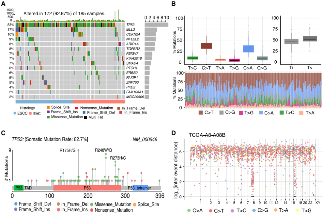 一文学会R包 maftools 简介使用-CSDN博客