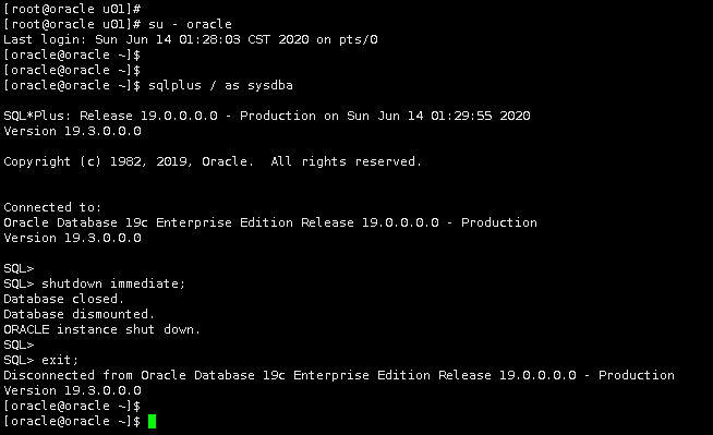 Linux安装 Oracle 19C 实操_error: compat-qpid-cpp-client conflicts with qpid--CSDN博客