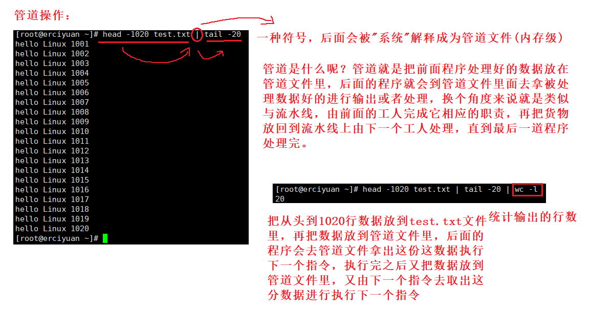 Linux基础操作指令linux基本操作命令 Csdn博客