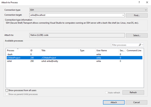 VS2022 debugging new feature: use LLDB to attach to remote processes - Programmer Sought