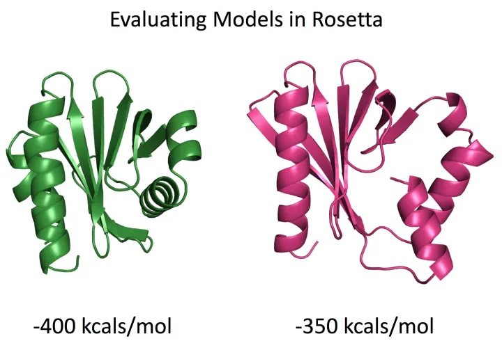 Rosetta基础3: Rosetta能量函数简介_rosseta能做蛋白与小分子的对接能量预估么-CSDN博客