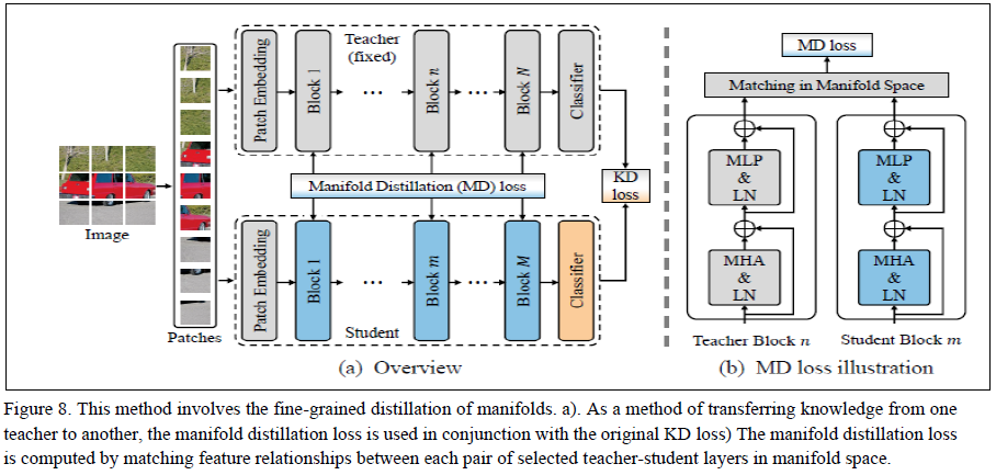 最新轻量ViT综述！后Transformer时代如何发展？_tinyvit缺点-CSDN博客