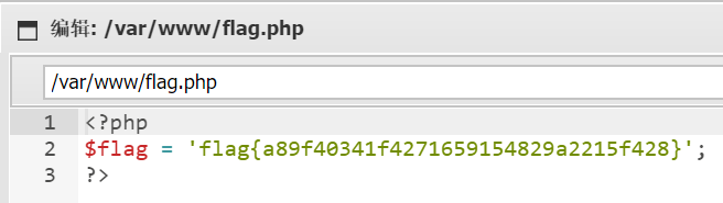 PolarCTF 2023冬季个人挑战赛 WriteUp (web部分)_polarctf 混淆code?-CSDN博客