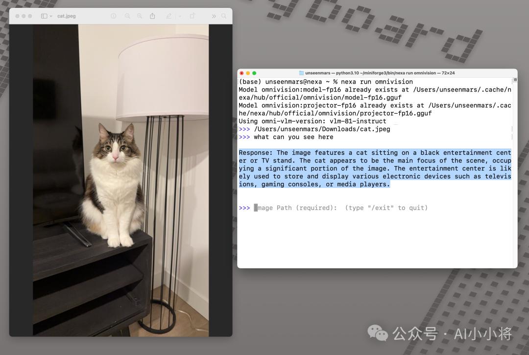 又一个多模态模型在HuggingFace上火了：参数量只有968M！_omnivision-968m-CSDN博客