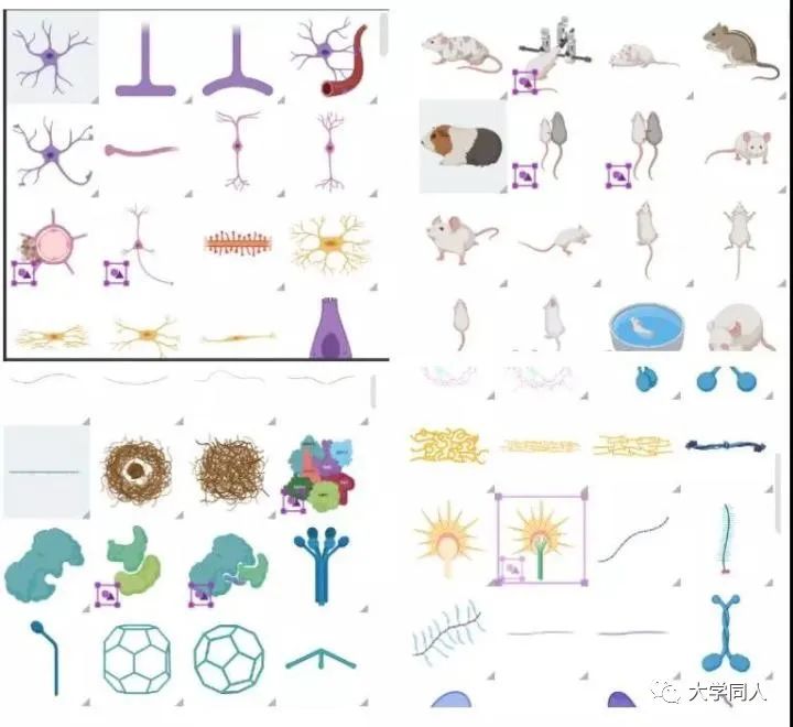 origin如何将多个曲线放在一张图_解密！SCI论文中那些高大上的插图是如何绘制的..._weixin_39530833的博客-CSDN博客