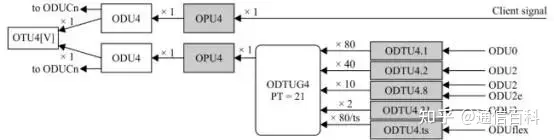 光传送网OTN的速率解析_otn100g帧结构-CSDN博客