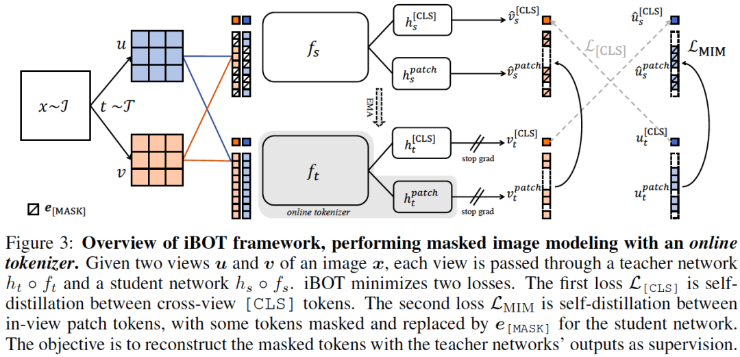 iBOT：使用在线Tokenizer对图像进行BERT式预训练_ibot: image bert pre-training with online tokenize-CSDN博客
