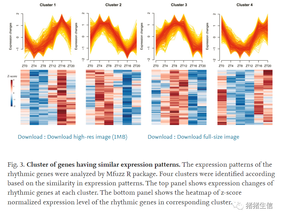 R语言Mfuzz包：分析时间序列的组学数据-CSDN博客