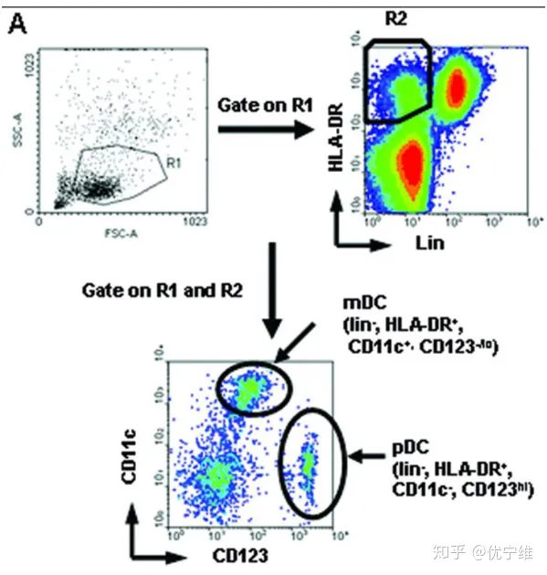 到底什么是Lin single lung IMs (Lin−CD45+MerTK+CD64+SiglecF−CD11b+) were ...