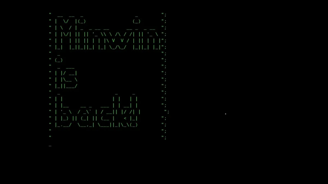 Windows 11 极限「瘦身」至 100MB！无图形、纯文字，却能正常运行_windows11 arm 瘦身-CSDN博客