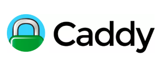 利用Caddy轻松HTTPS，支持HTTP3/QUIC_caddy quic-CSDN博客