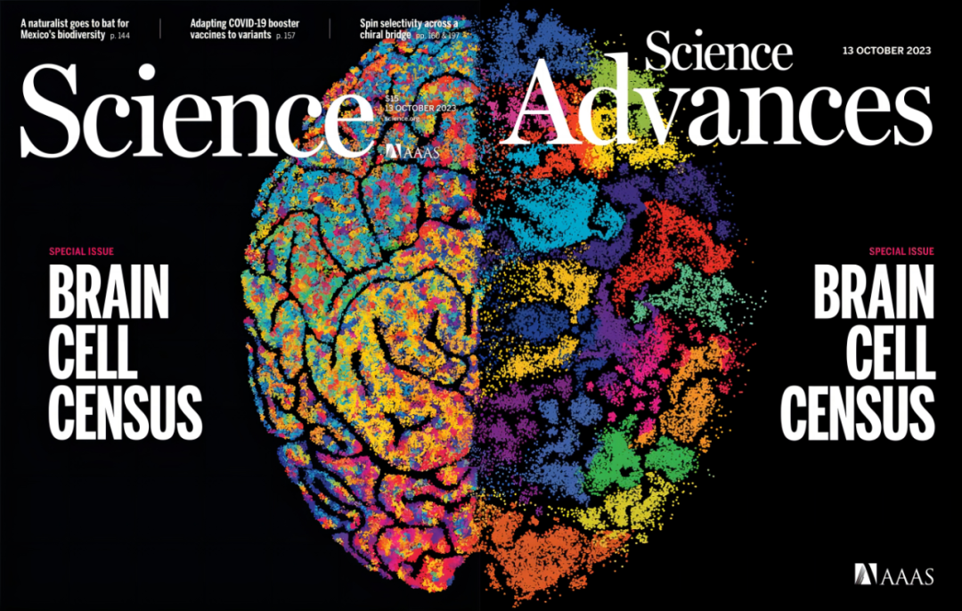 神经科学领域里程碑！全面构建人类大脑单细胞图谱｜追问顶刊原创 追问 nextquestion 2023-11-03 10:00大脑是人类神经系统最为高级的部分，负责接收并发出我们日常生产活动 ...