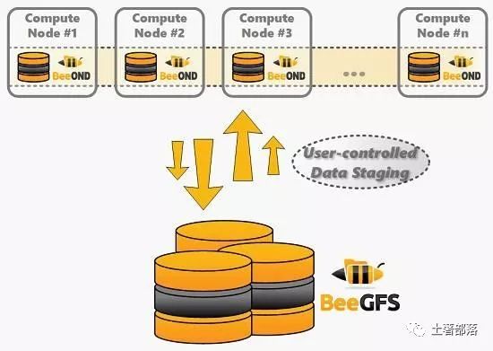 存储调研：BeeGFS并行文件系统体系结构-CSDN博客