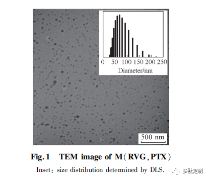 嗜神经病毒衍生肽 RVG29 介导的靶向纳米载药胶束的合成及抗肿瘤活性_rvg29靶向-CSDN博客