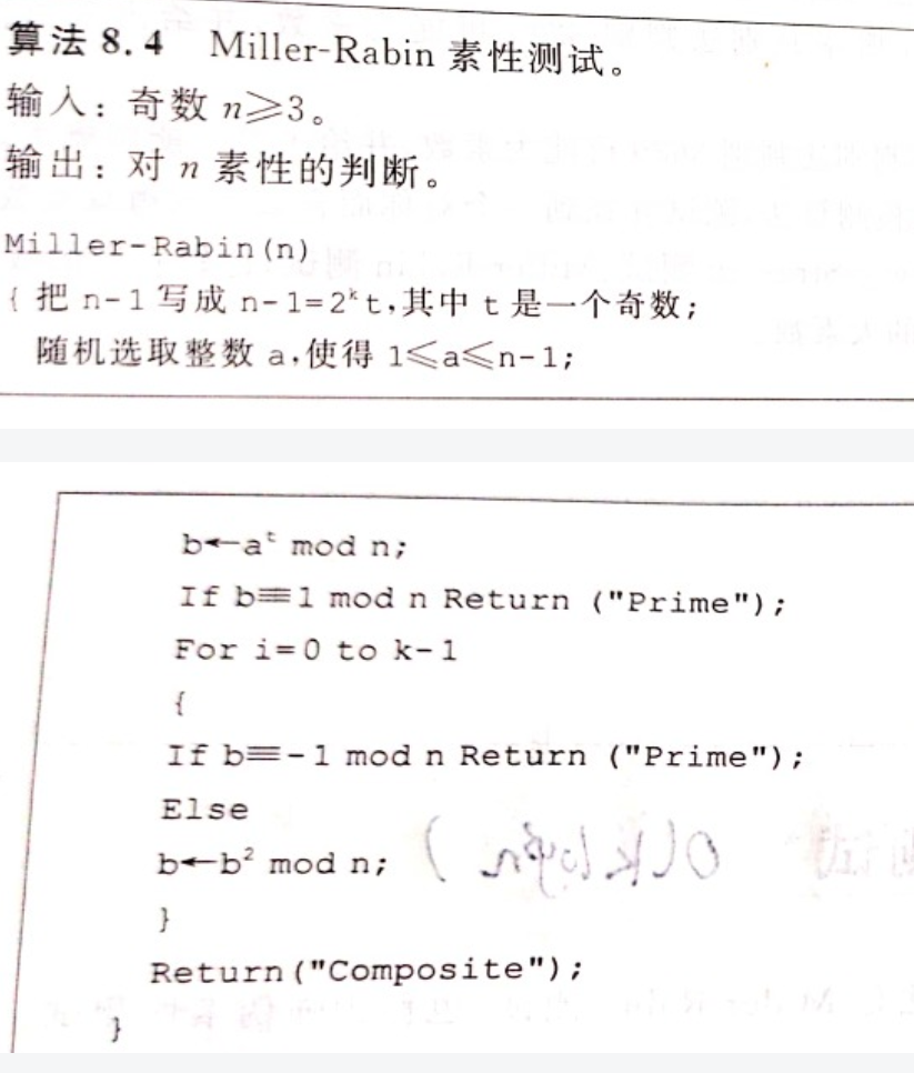 素性检测（Miller-Rabin）_miller rabin-CSDN博客