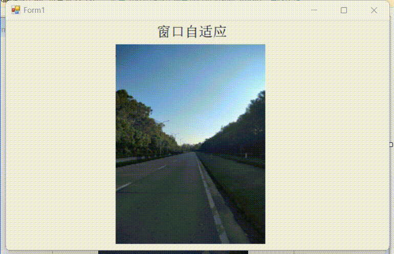 【winfrom C 学习自定义窗体类封装过程winform 自定义窗体 Csdn博客 
