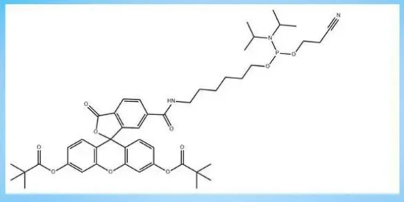 5’-Fluorescein phosphoramidite，由荧光素和氨基磷酸酯结构单元组成，能够与特定的生物分子结合_5 ...