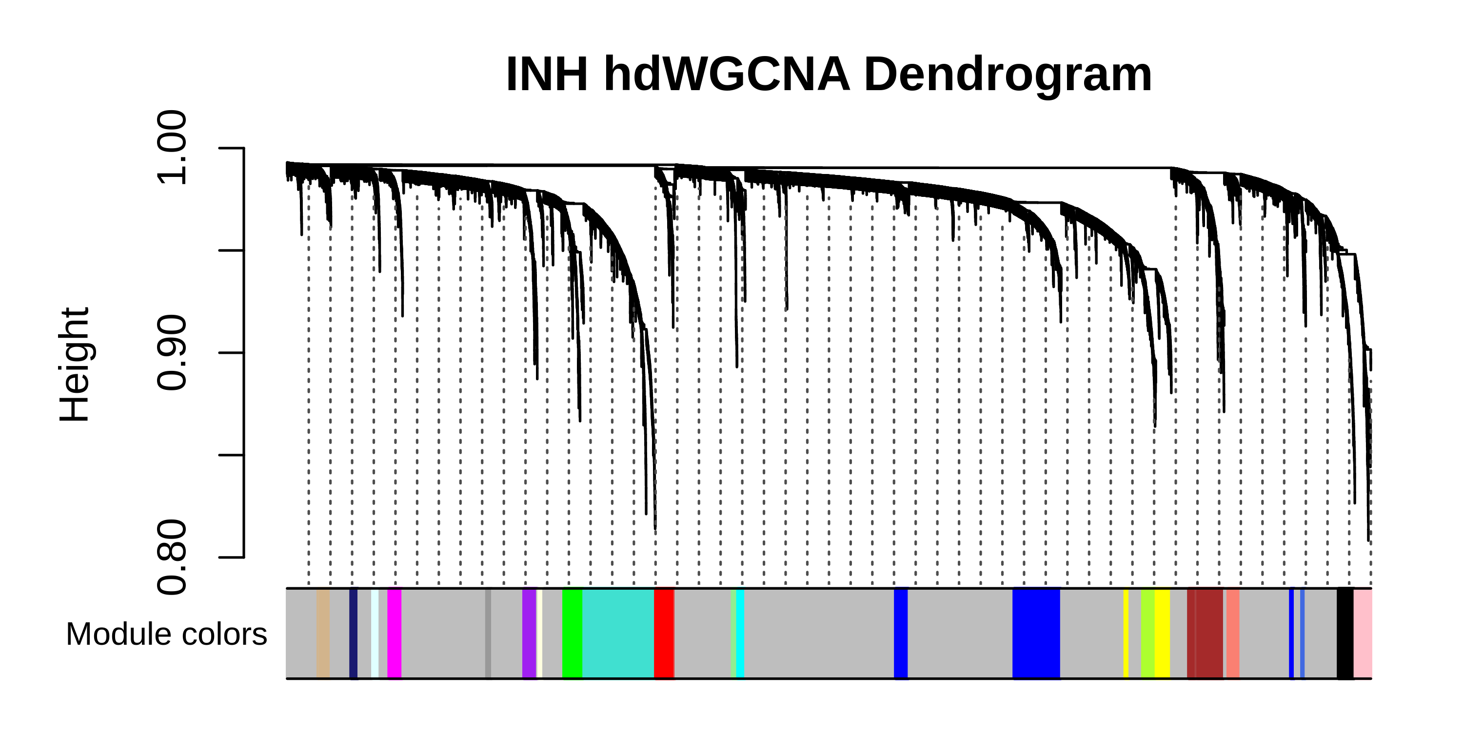 hdwgcna官网教程 详解-CSDN博客