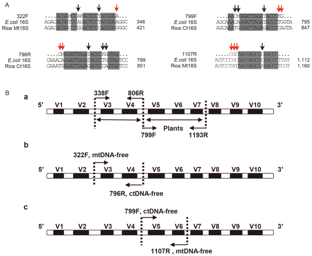 SCLS：微生物所方荣祥/张莉莉团队开发植物内生细菌特异16S引物-CSDN博客