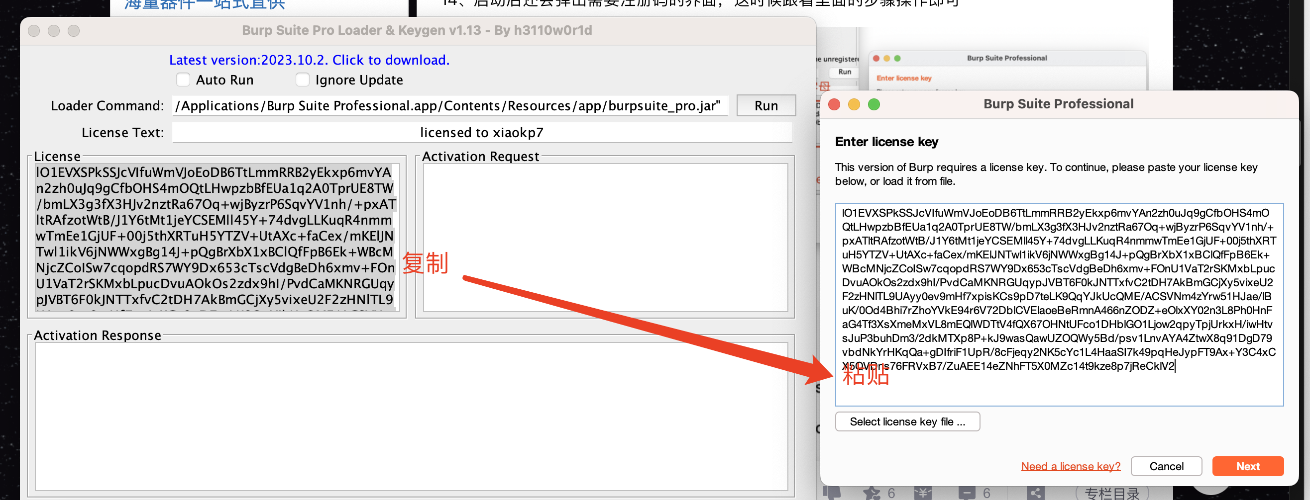 MacOS安装Burp Suite pro 2023_burpsuite下载mac-CSDN博客