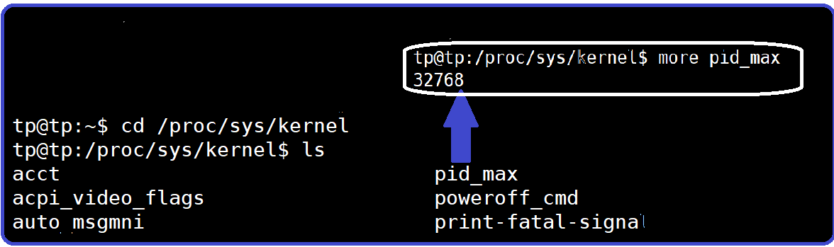 linux 的fork函数原型,浅析fork()和底层实现-CSDN博客