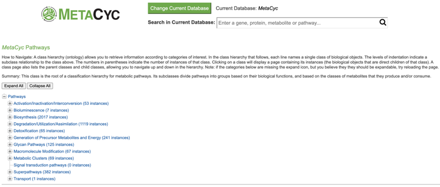 QIIME2得到PICRUSt2结果后如何分析-CSDN博客