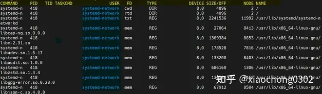 你好，OpenEuler ! （十五、常用命令集合lost&netstat）_openeuler netstat-CSDN博客