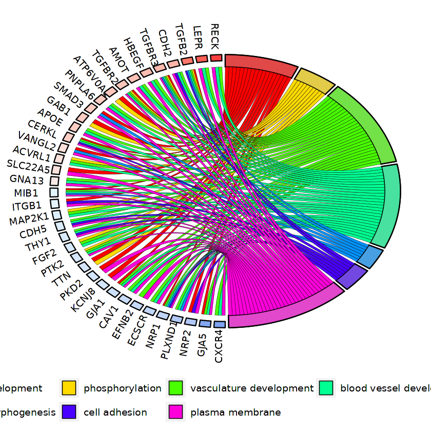 通向 CNS 期刊的视觉之旅 | 生物信息学作图系列教程（一）_pygenometracks-CSDN博客