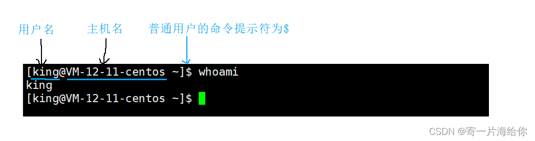 彻底搞懂 Linux 中的权限【详解】linux 执行权限 Csdn博客