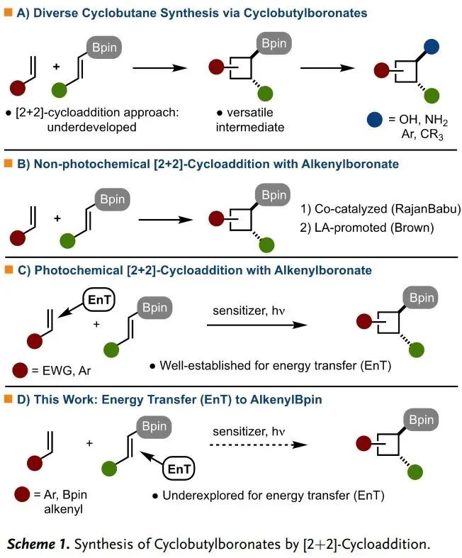 【有机】Angew：烯基硼酸酯与烯烃的光敏性[2+2]-环加成反应-CSDN博客