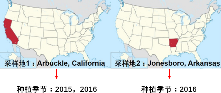 predict函数 R_R包randomForest的随机森林回归模型以及对重要变量的选择-CSDN博客