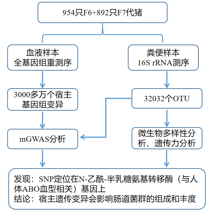 宿主基因组-微生物关联（mGWAS）新思路！-CSDN博客