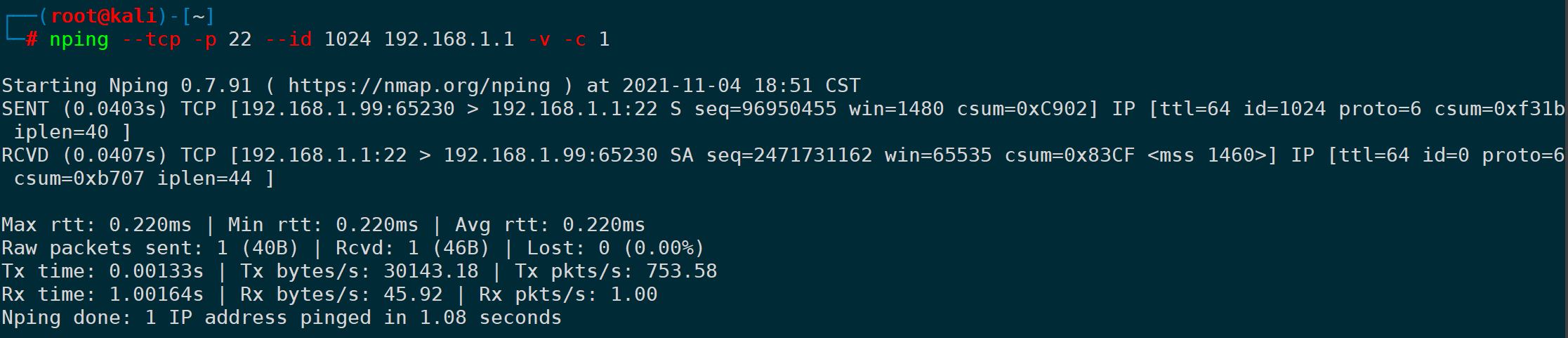 网络探测的中流砥柱-Nping使用_nping语法-CSDN博客