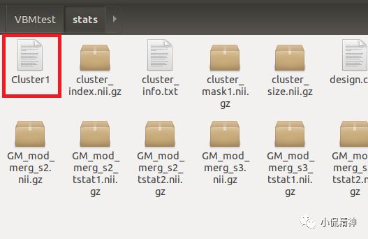 vbm 分析_手把手系列教程：使用FSL进行VBM分析_尹昉的博客-CSDN博客