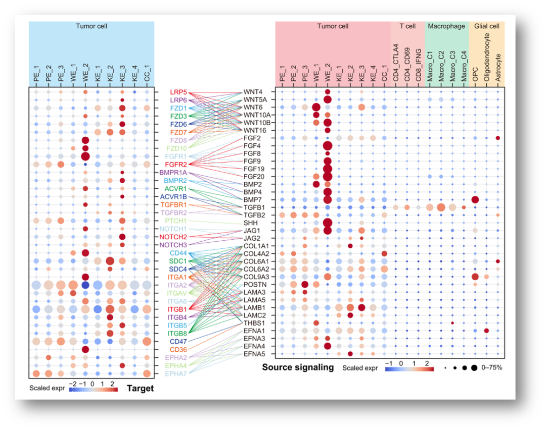 复现Science图表：细胞通讯受配体配对连线表达图（cellchat、cellphonedb）_cellphonedb作图-CSDN博客