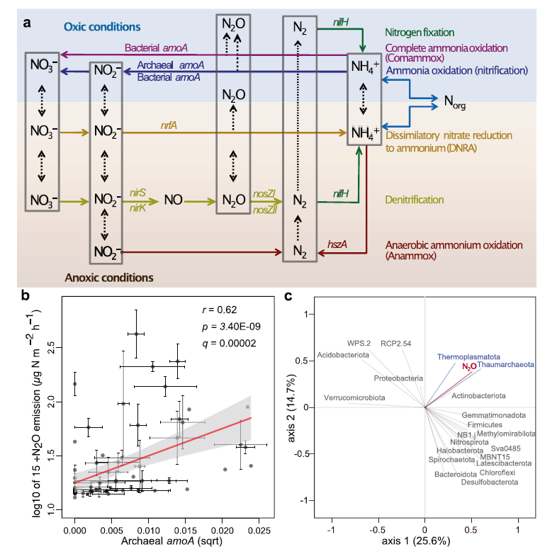 NC | 土壤微生物组的结构和功能揭示全球湿地N2O释放-CSDN博客