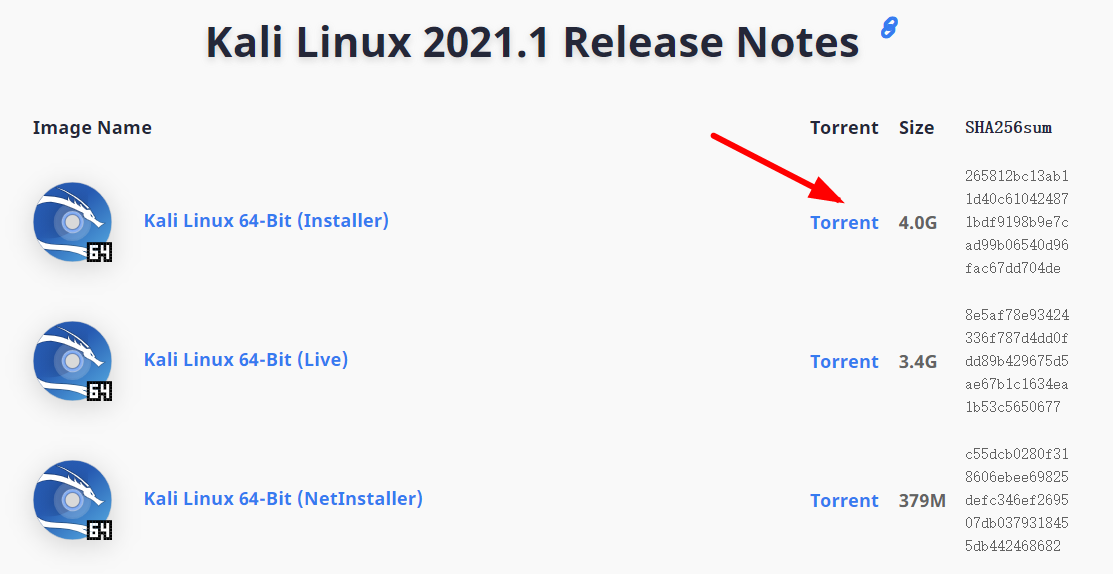 2021Kali系列 -- Kali安装与配置_kali2021 download-CSDN博客